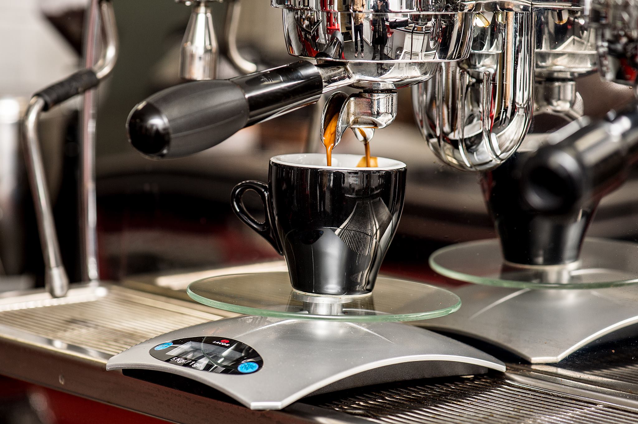 17 restaurateurs à découvrir au festival Bouffe ton Centro - Sherbrooke ...