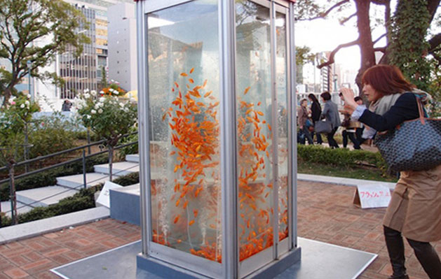 Cabine téléphonique transformée en aquarium - Baron Mag