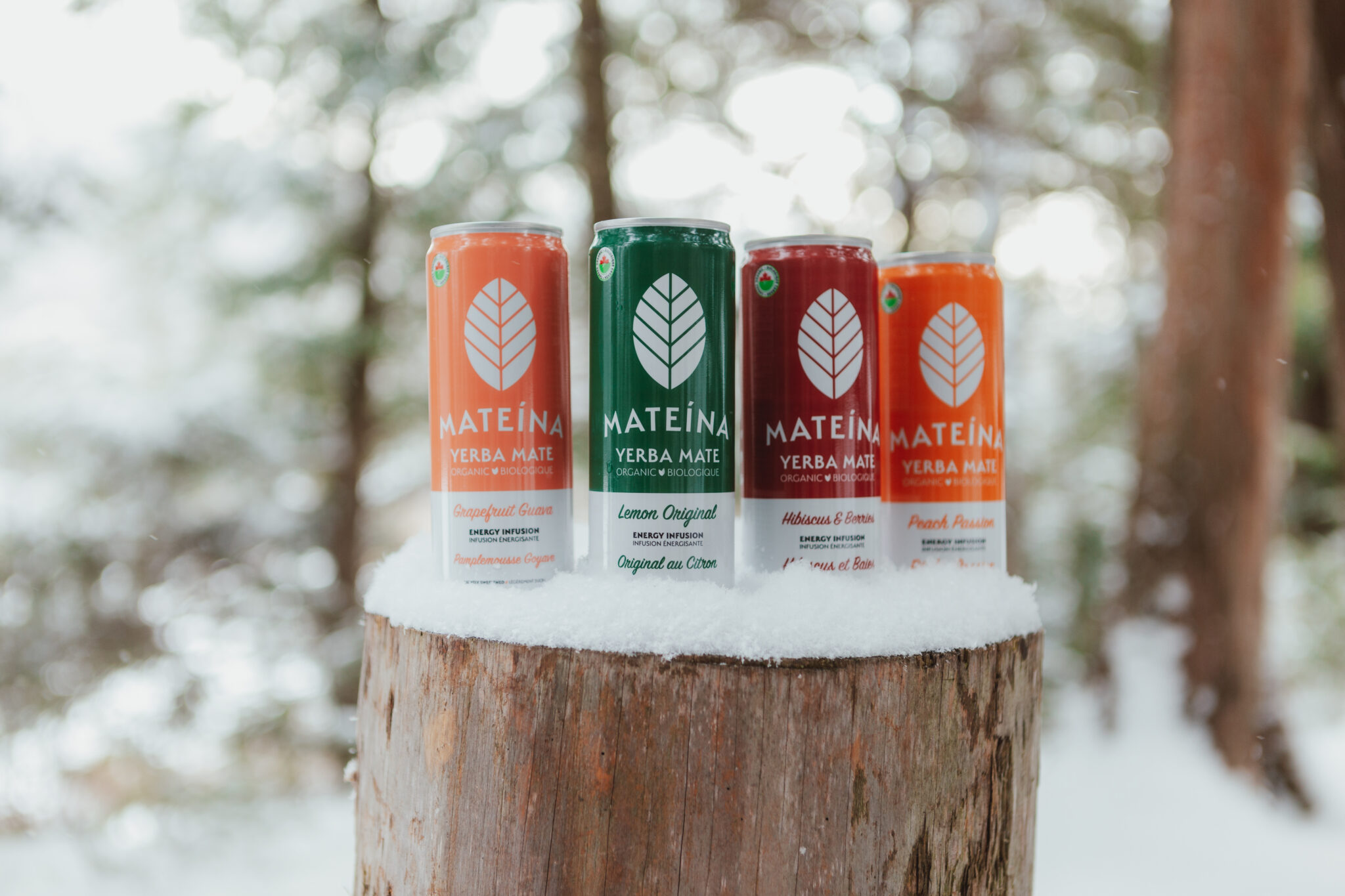 Mateina, une histoire d’amour pour un style de vie - Baron Mag