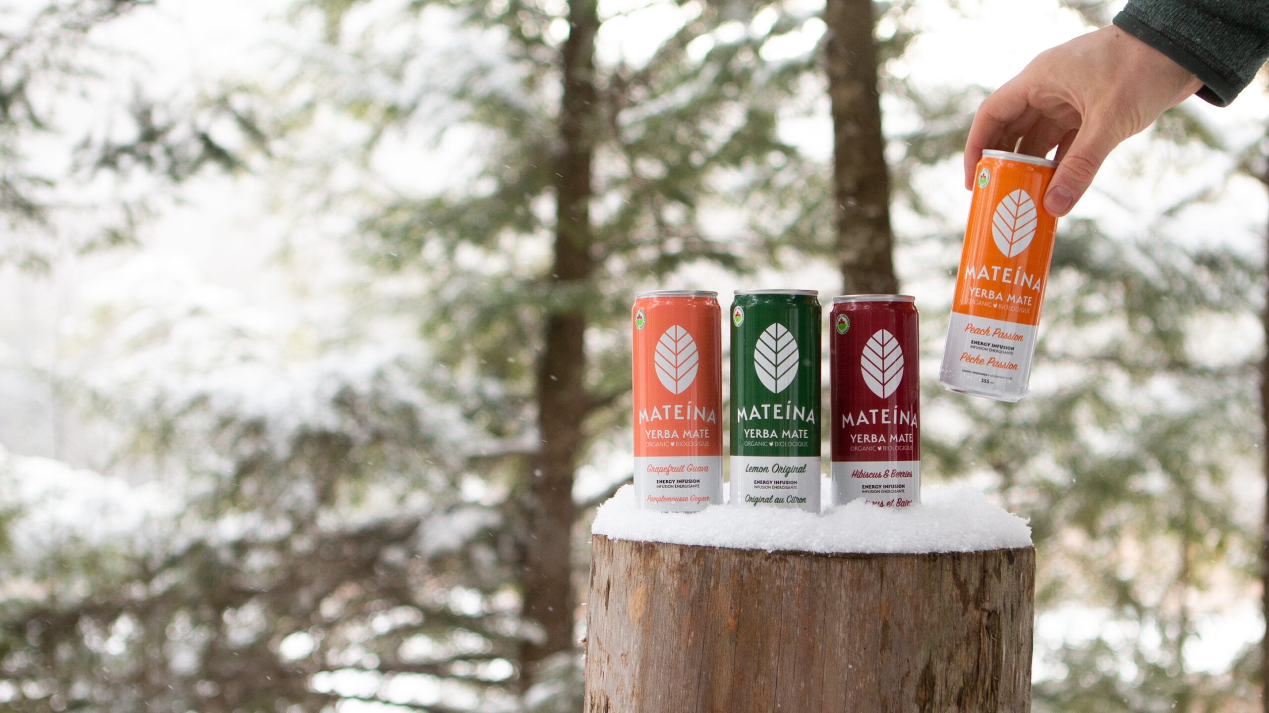 Mateina, une histoire d’amour pour un style de vie - Baron Mag