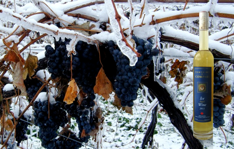 Muwin Estate Wines | SIAL CANADA 2022 - Baron Mag