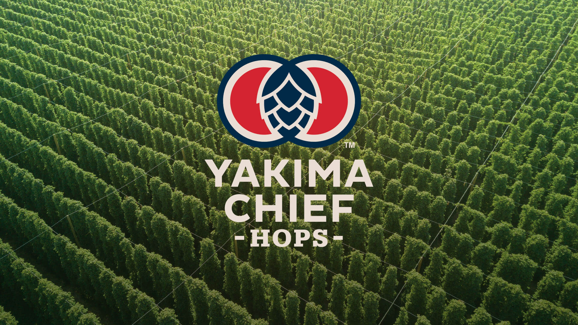 Yakima Chief Hops annonce l’ouverture de leur entrepôt de distribution à Brossard, au Québec ...