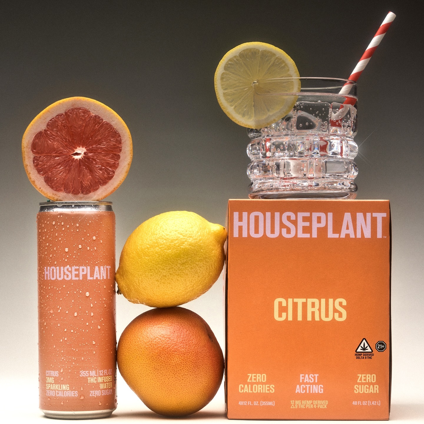 Sans Alcool | Seth Rogen élargit sa marque d'art de vivre Houseplant ...