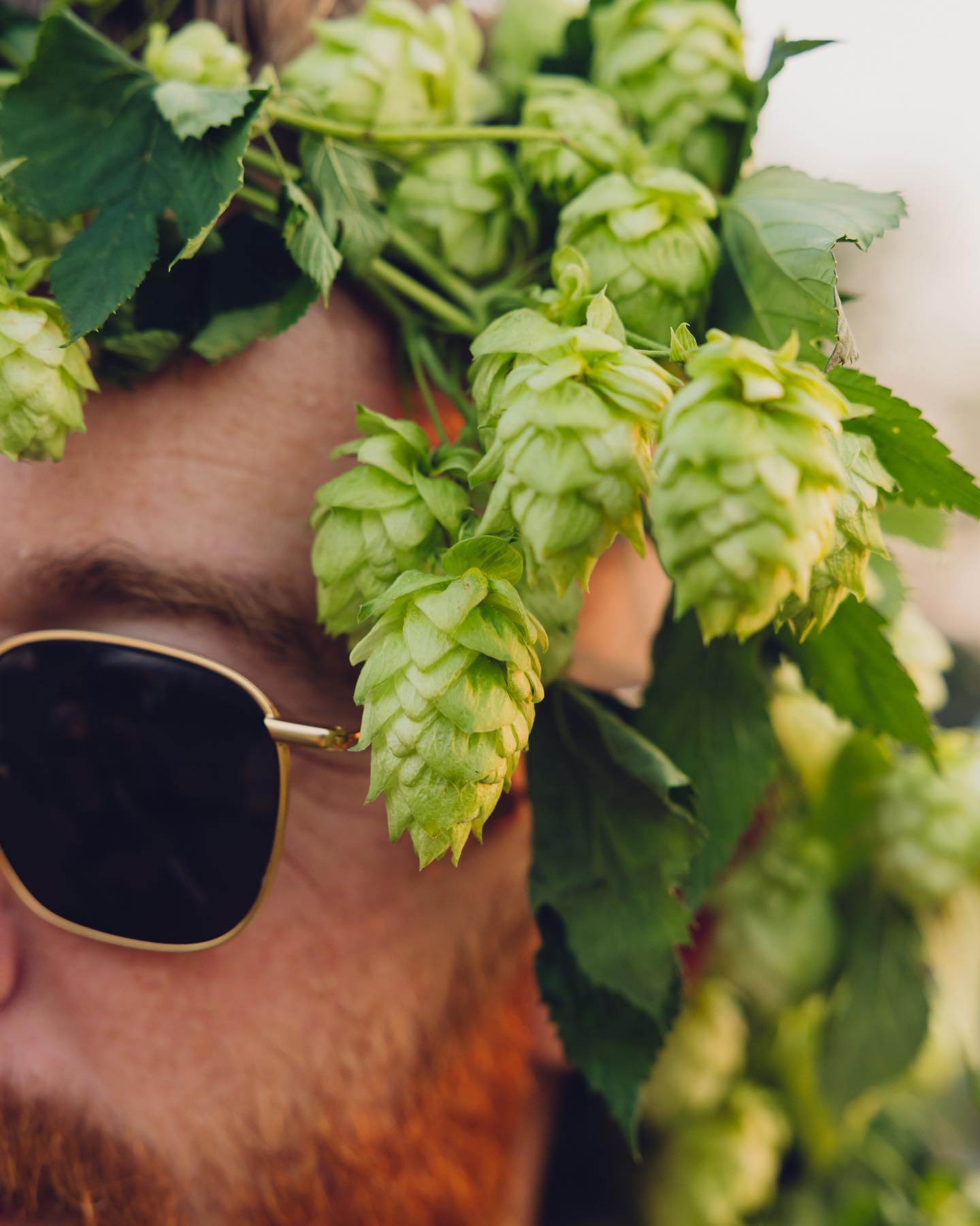 Annulation du Great Canadian Beer Fest et du Langford Beer Fest en 2025 ...
