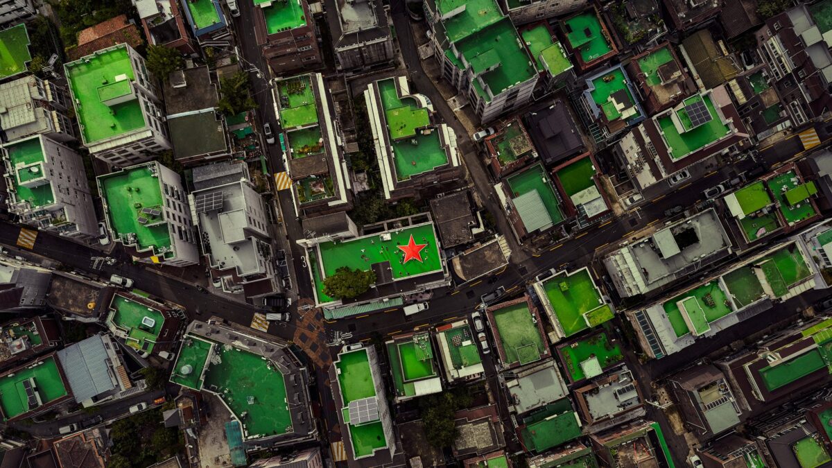 Combattre la solitude urbaine sur les toits : Comment les ...